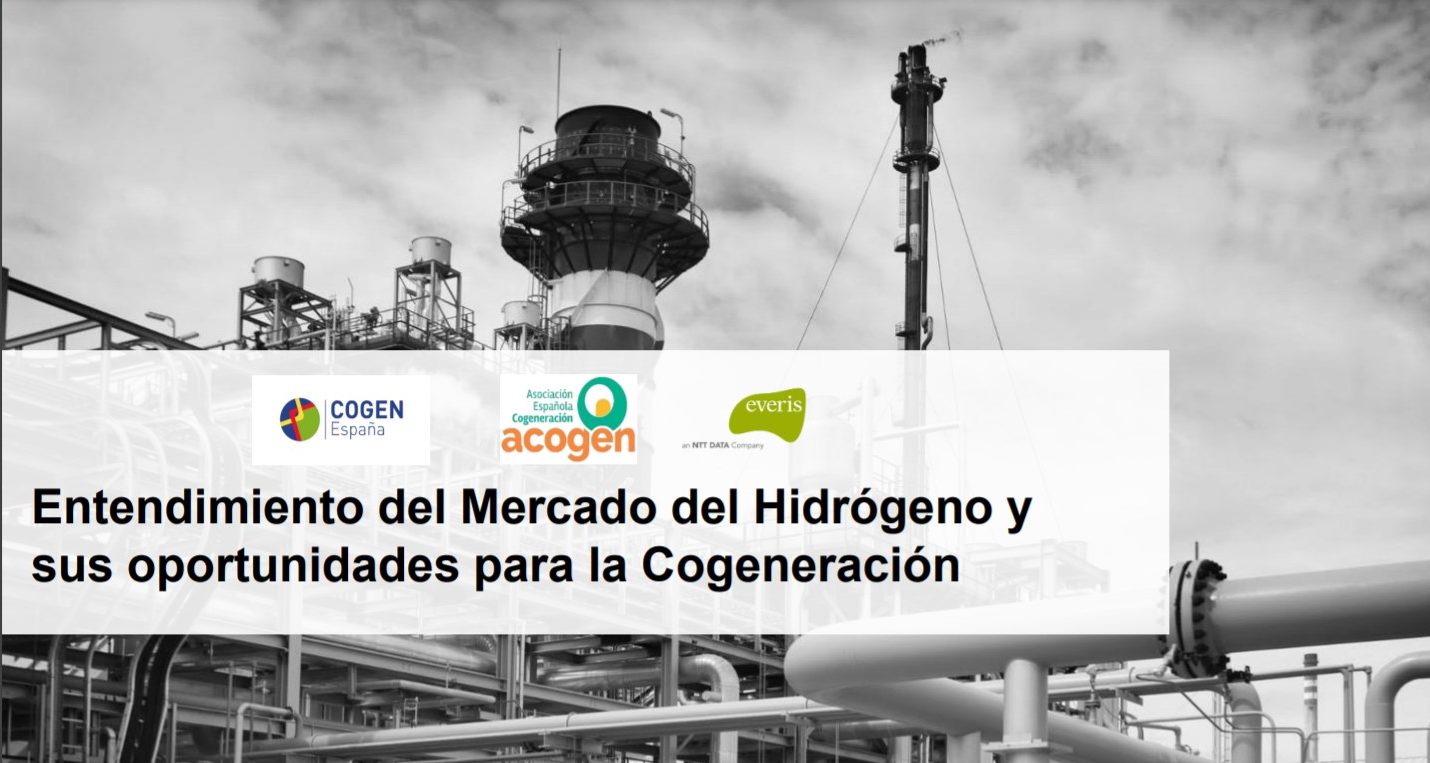 ACOGEN, COGEN España y Everis presentan un estudio sobre las ...