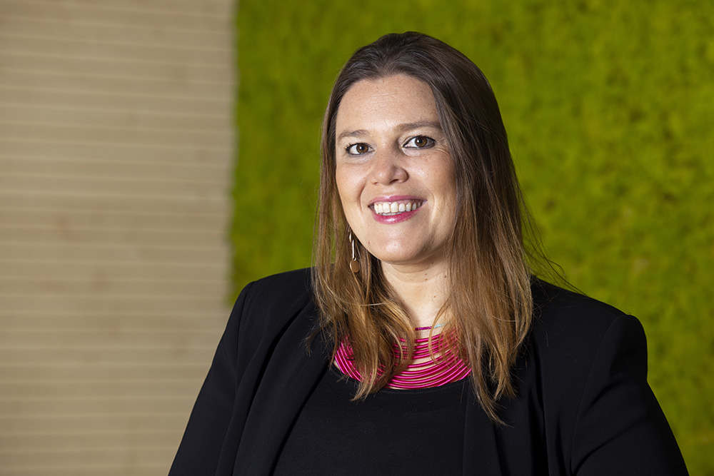 Impulsando la industrialización sostenible e inclusiva de África por ...