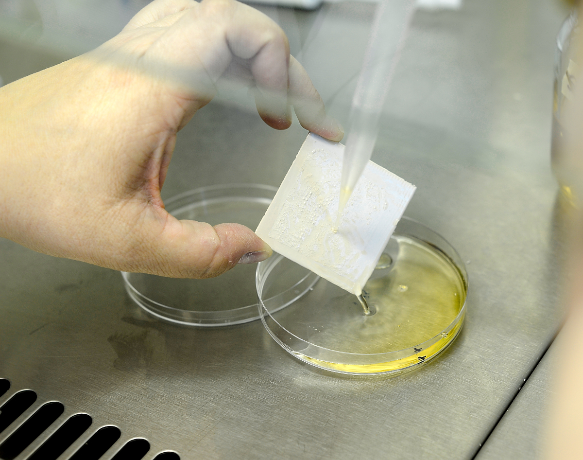 La lignina, un nuevo horizonte en la fabricación de biorresinas para ...